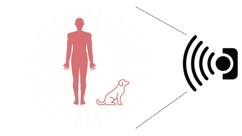 Passive Infrared Sensors: Applications, Advantages, and Challenges ...